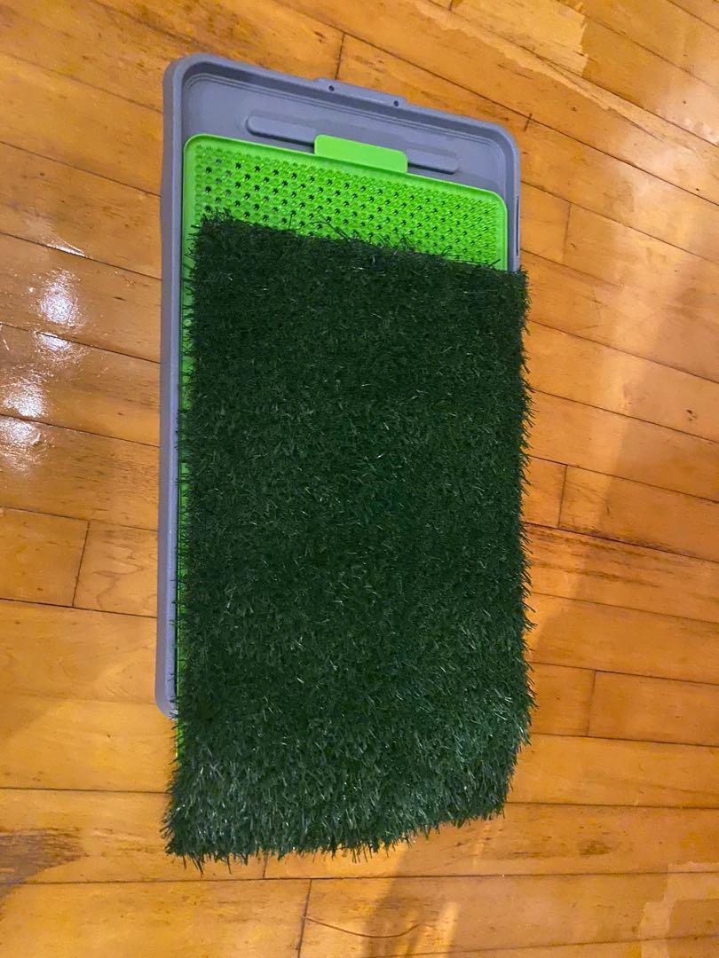 Artificial grass pee tray, Pet Supplies, Homes & Other Pet Accessories ...