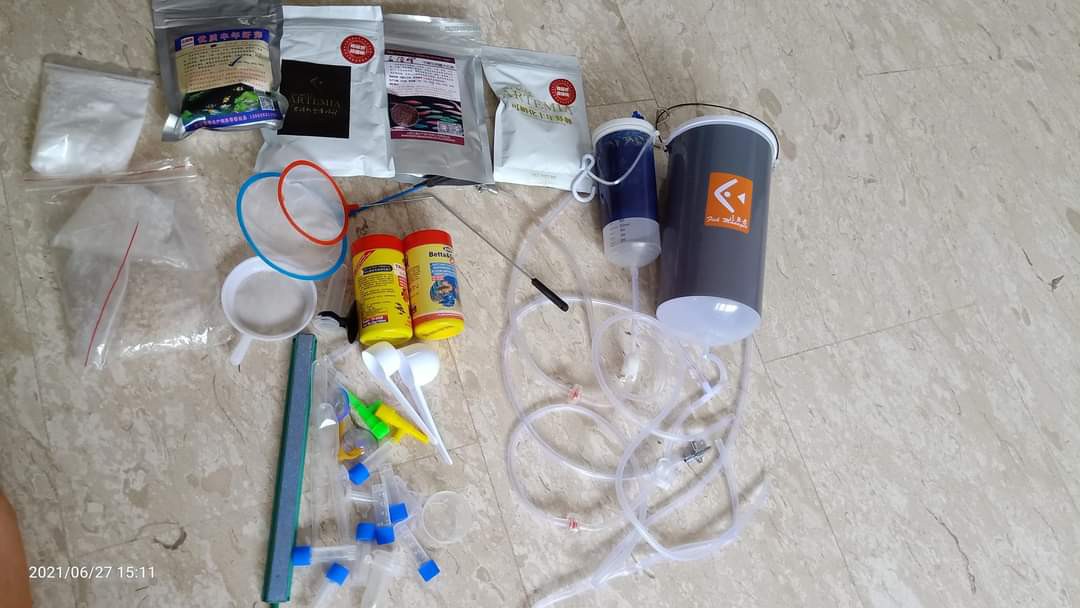 BBS Fish food (baby fish betta guppy), Pet Supplies, Pet Food on Carousell