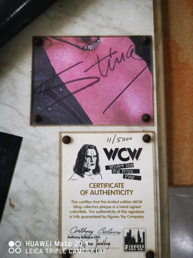WCW STING Autograph 12'X15" BAT PLAQUE, Hobbies & Toys, Memorabilia ...