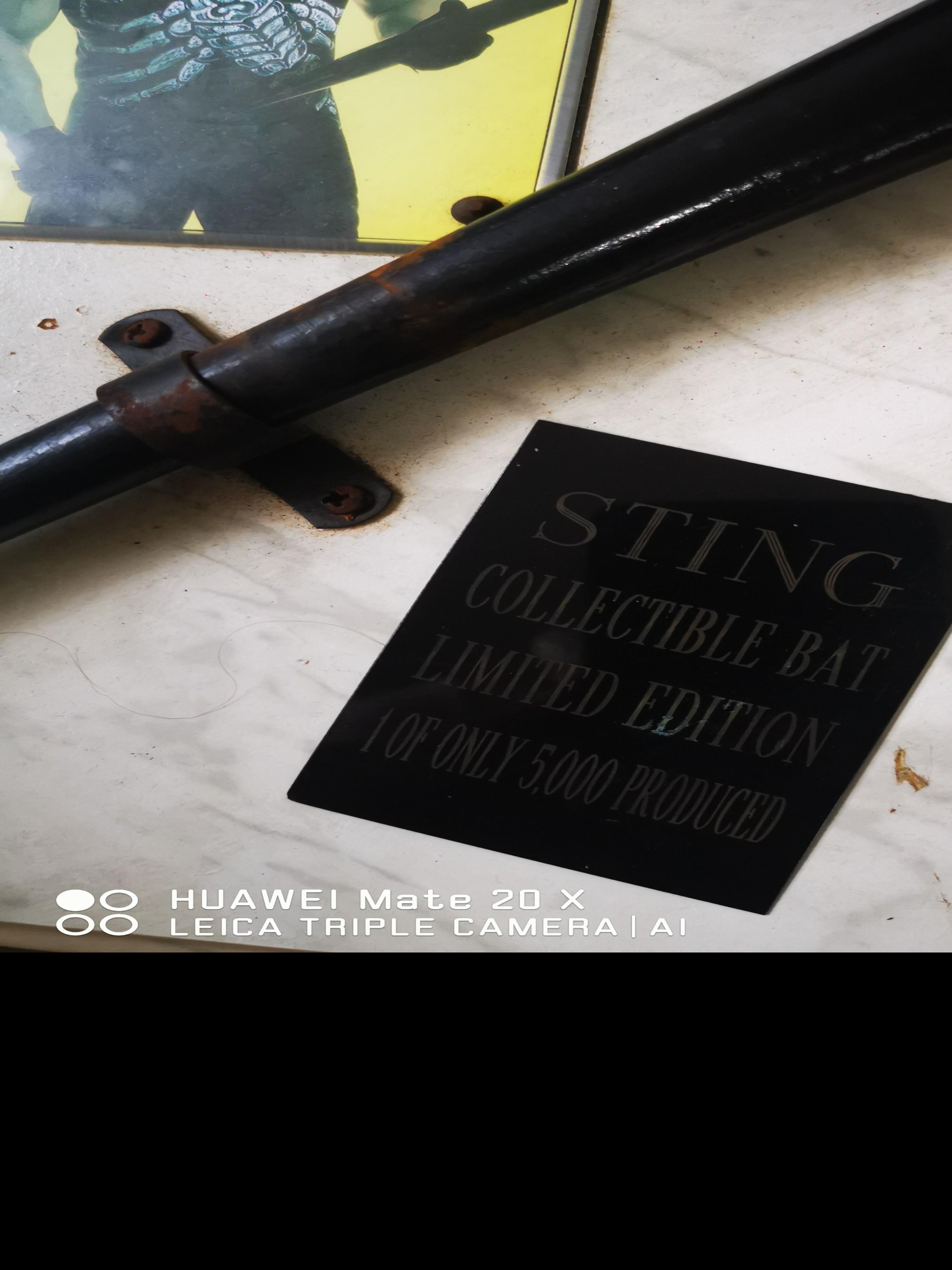 WCW STING Autograph 12'X15" BAT PLAQUE, Hobbies & Toys, Memorabilia ...