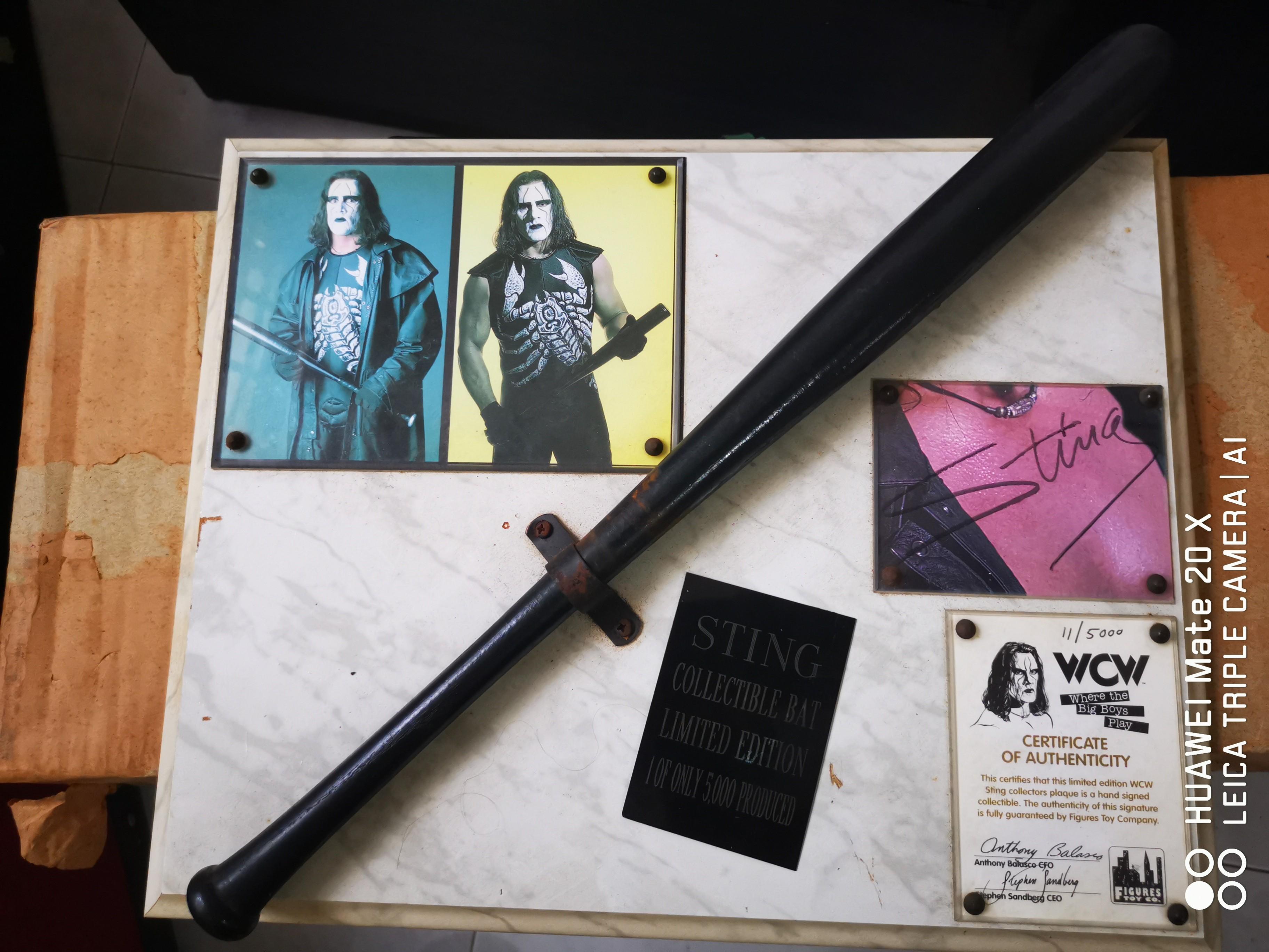 WCW STING Autograph 12'X15" BAT PLAQUE, Hobbies & Toys, Memorabilia ...