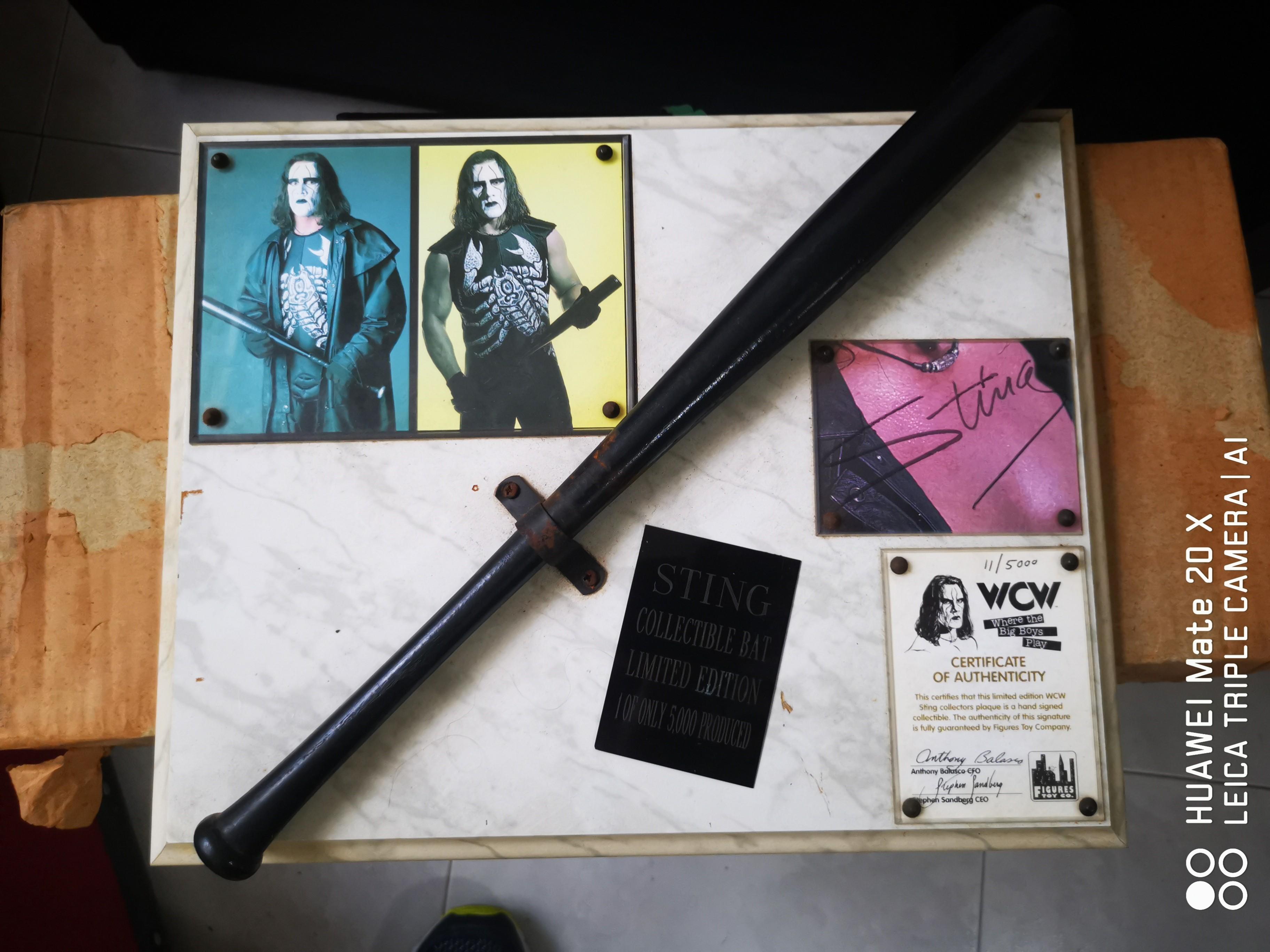 WCW STING Autograph 12'X15" BAT PLAQUE, Hobbies & Toys, Memorabilia ...