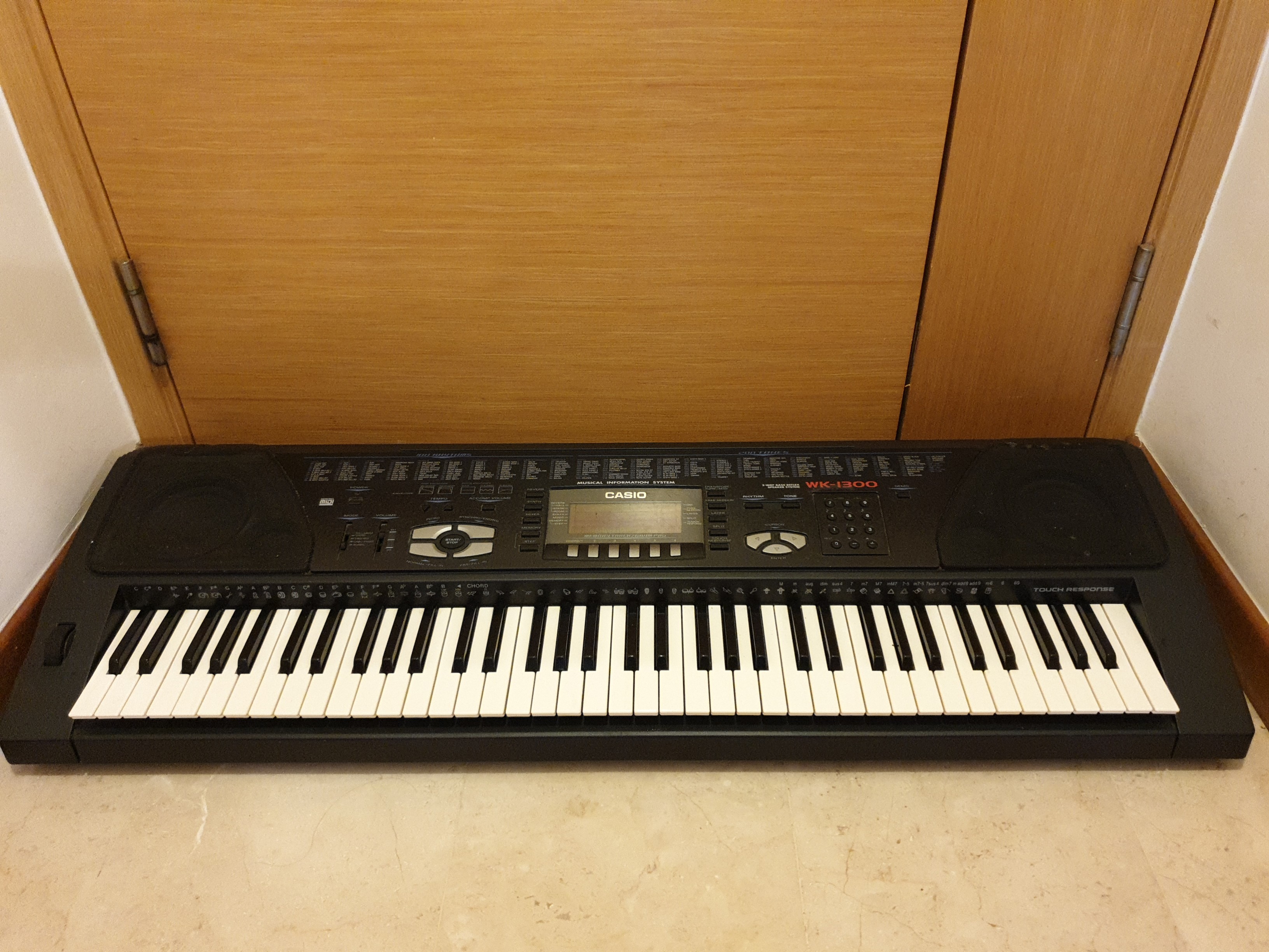 CASIO 73-Key Piano Keyboard, Hobbies & Toys, Music & Media, Musical ...