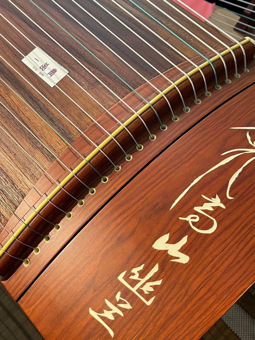 Special Only 1 Guzheng 一品堂 Elementary Learning Guzhen, Hobbies & Toys ...