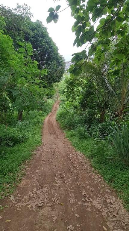 Baras Rizal farm lot 4.4h, Property, For Sale, Lot on Carousell