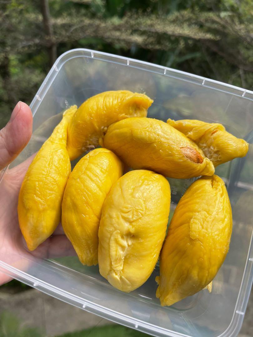 Raub Musang King Durian Pulps (Fresh from Orchard), Food & Drinks ...