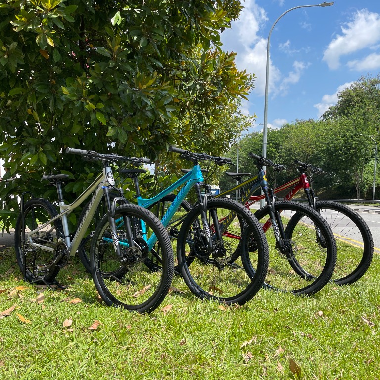 SUNPEED "ONE" MTB 27.5" & 29" Mountain Bicycle, Sports Equipment ...