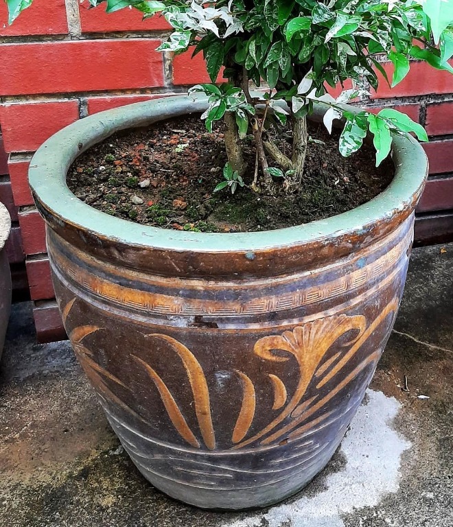 Traditional Flower Pot, Furniture & Home Living, Gardening, Pots ...