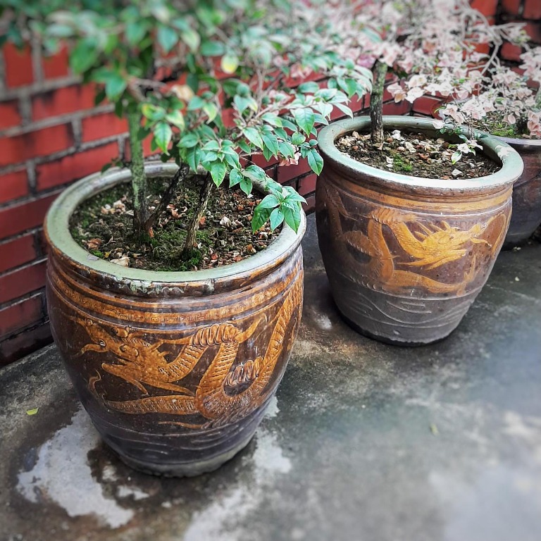 Traditional Flower Pot, Furniture & Home Living, Gardening, Pots ...