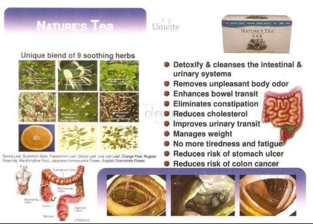 UNICITY NATURE'S TEA, Health & Nutrition, Health Supplements, Health ...