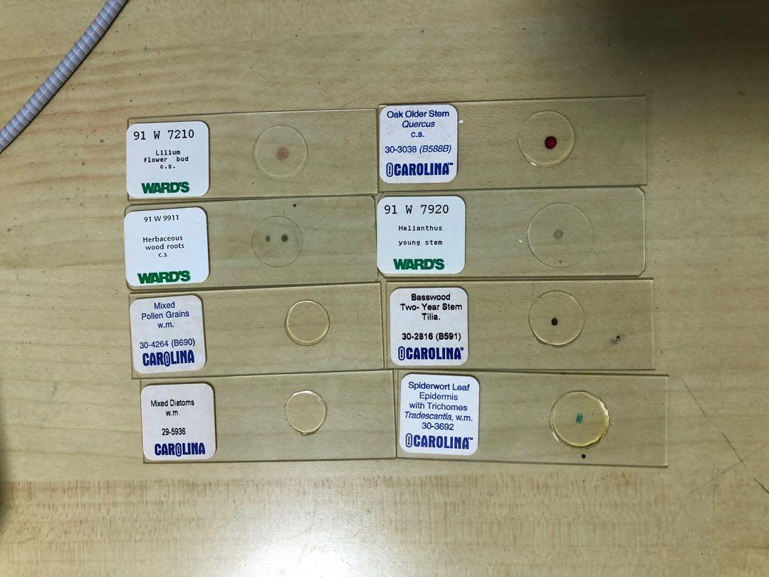 Imaging cell culture slides, Photography, Cameras on Carousell