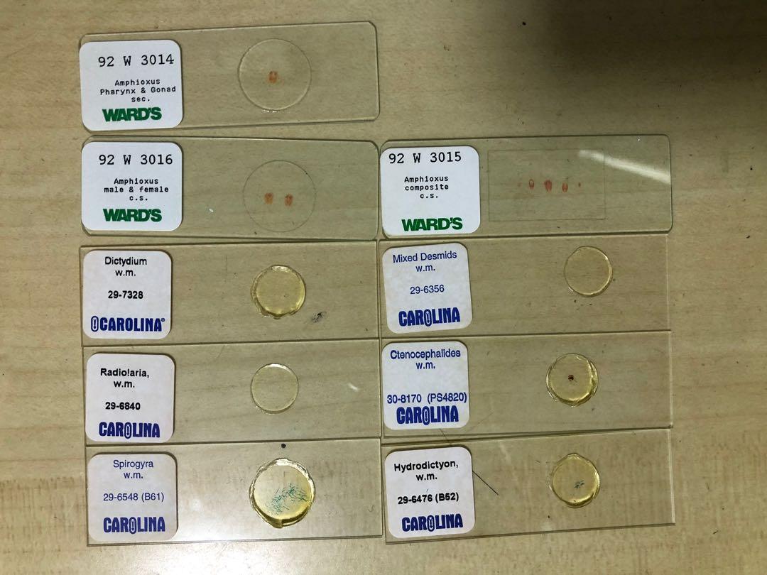 Imaging cell culture slides, Photography, Cameras on Carousell