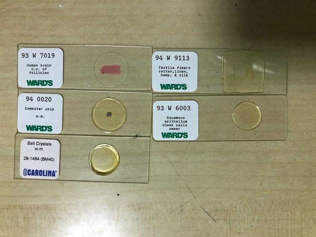 Imaging cell culture slides, Photography, Cameras on Carousell