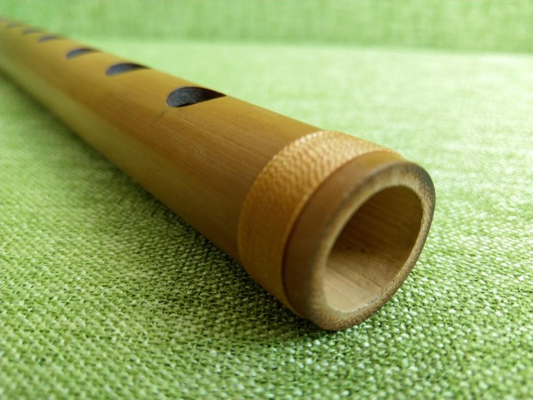 Carnatic flute pitch 2, Hobbies & Toys, Music & Media, Musical ...