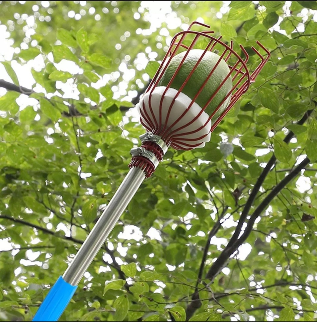 Fruit Picker Rod Adjustable with Long Pole and Bracket (8 Feet), Food ...