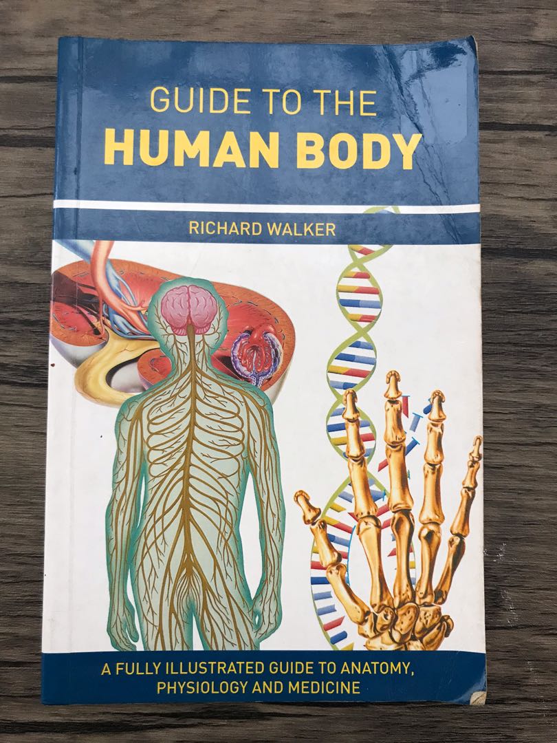 Guide to Human body by Richard Walker, Hobbies & Toys, Books ...