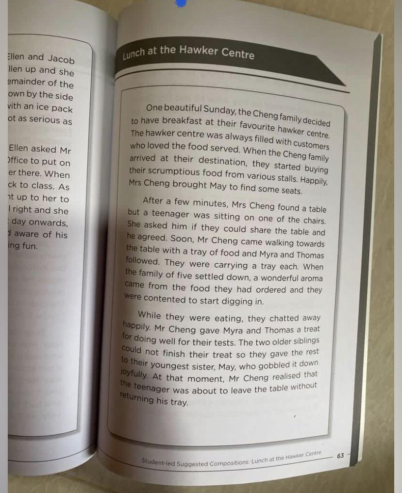 Primary 2 composition writing (Liza Tay Mei Ling), Hobbies & Toys ...