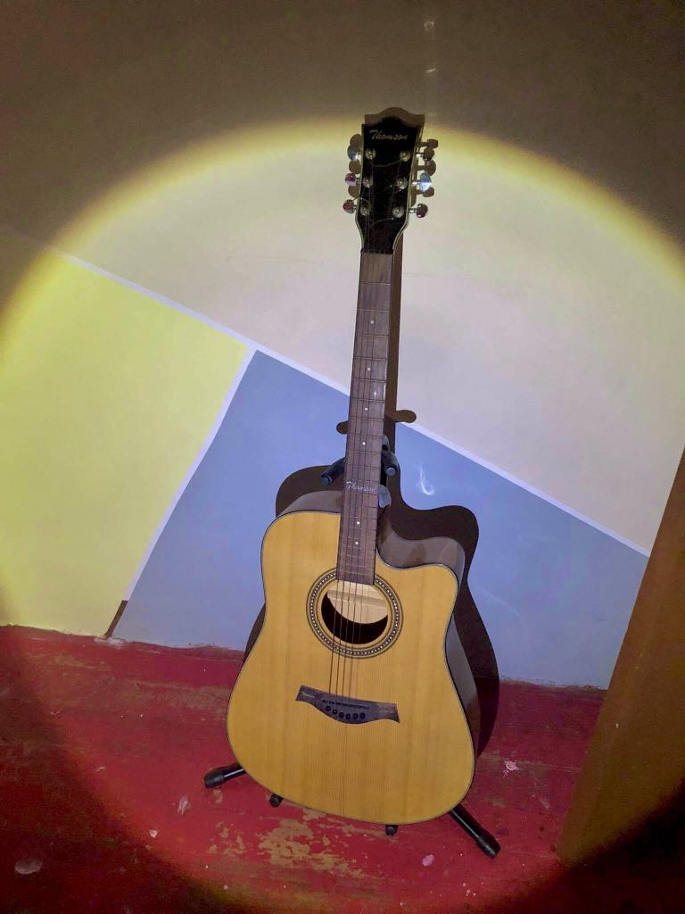 Thomson Guitar, Hobbies & Toys, Music & Media, Musical Instruments on ...