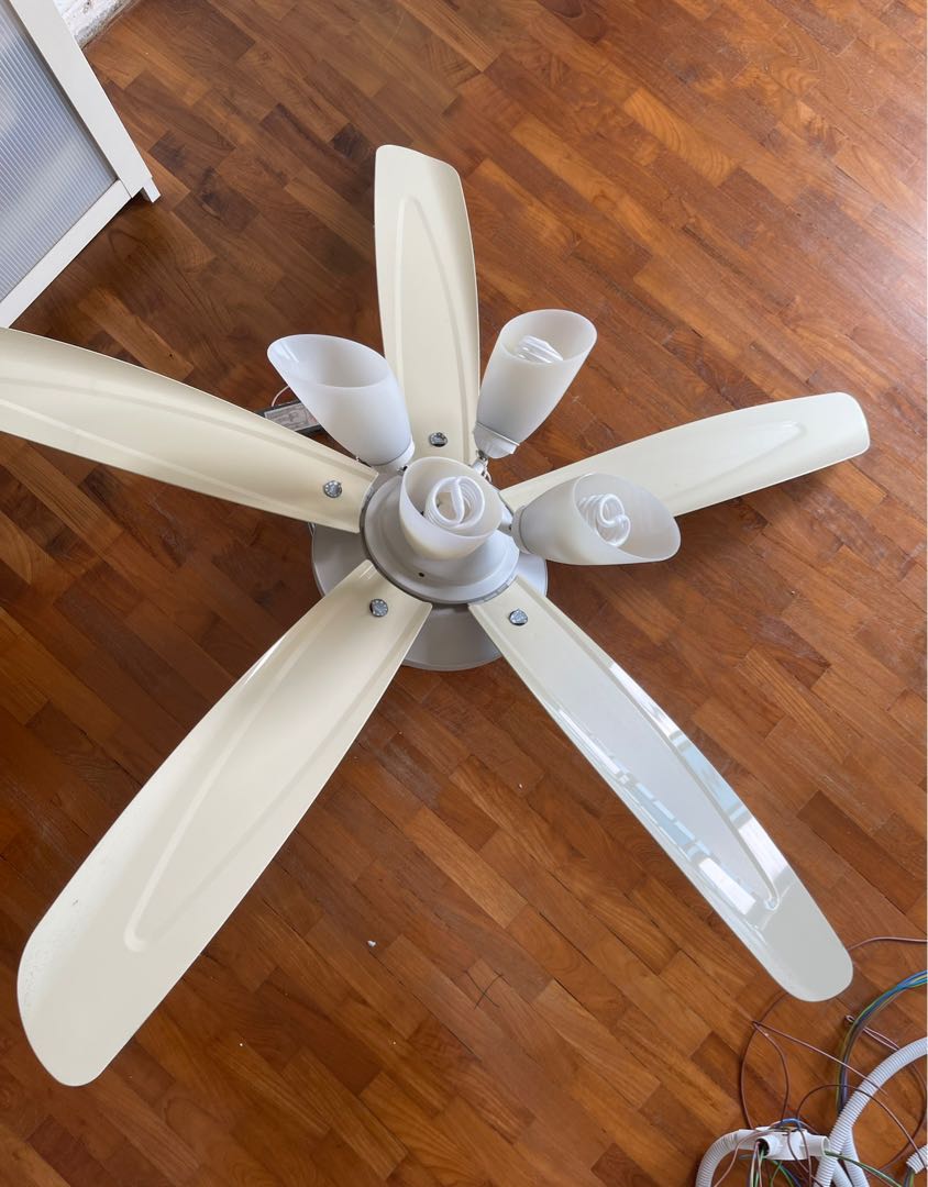 Amasco 5 blade fan with lights, Furniture & Home Living, Lighting ...