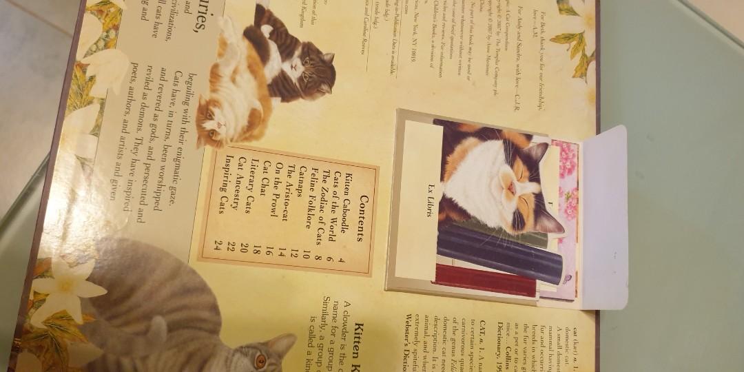 CATOPIA with interactive liftup flaps on almost every page. Excellent ...