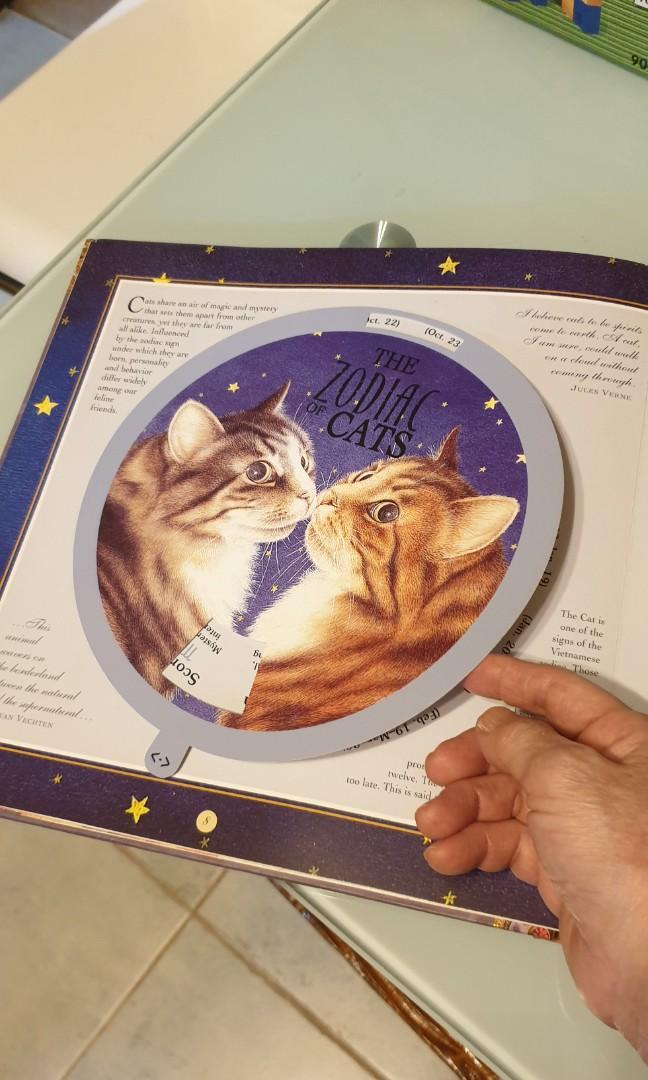 CATOPIA with interactive liftup flaps on almost every page. Excellent ...