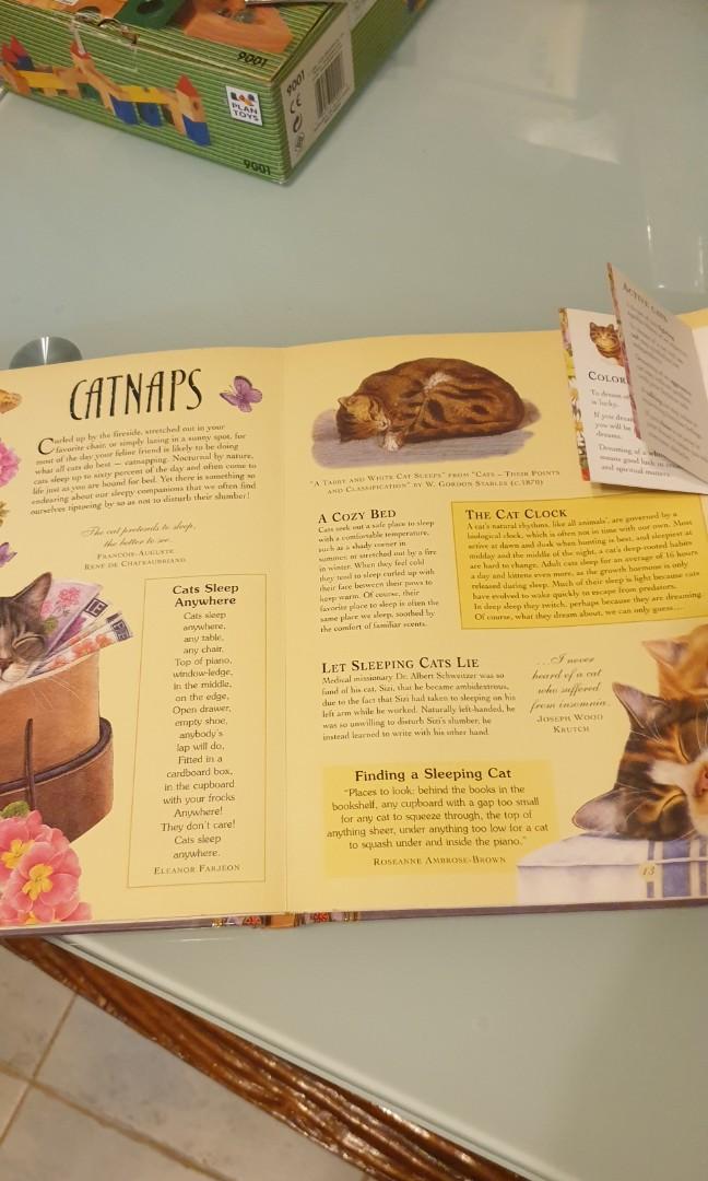 CATOPIA with interactive liftup flaps on almost every page. Excellent ...