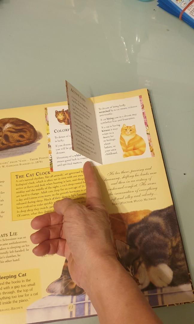 CATOPIA with interactive liftup flaps on almost every page. Excellent ...