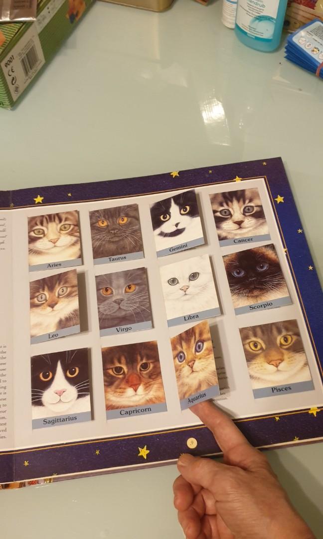 CATOPIA with interactive liftup flaps on almost every page. Excellent ...