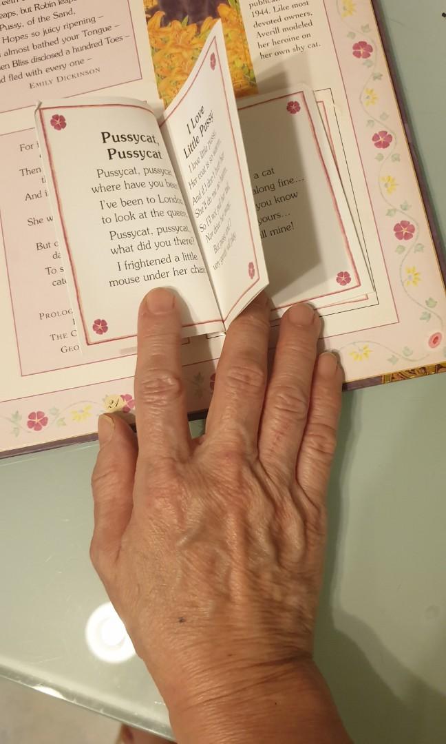 CATOPIA with interactive liftup flaps on almost every page. Excellent ...