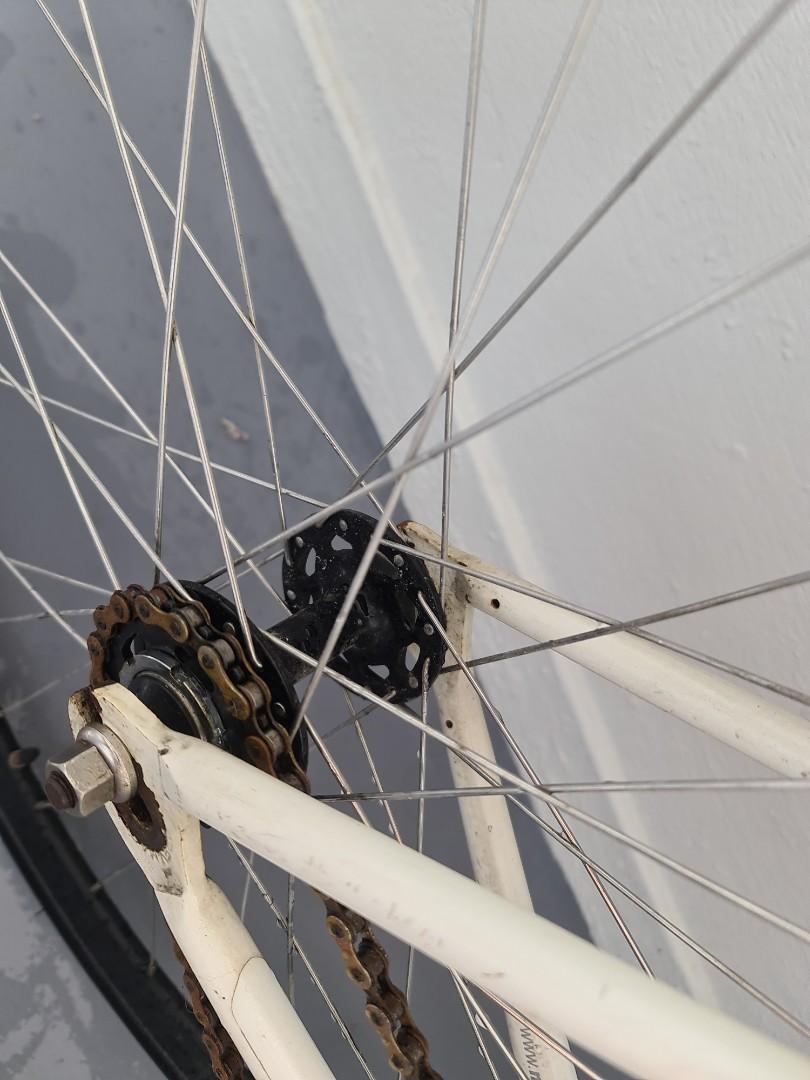 Masi Speciale Sprint Fixie single speed vintage steel frame, Sports ...