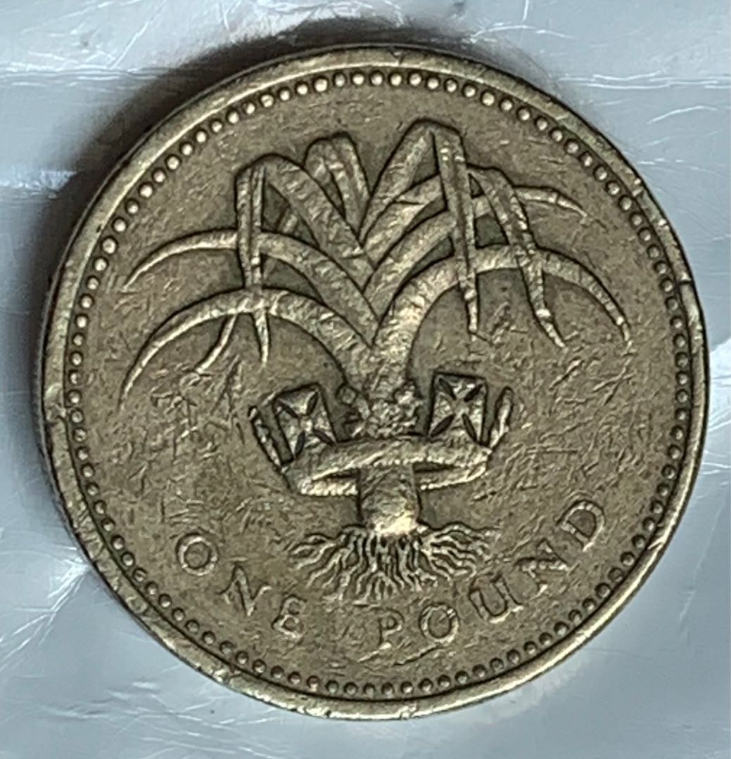 QEII One Pound Minting Error coin, Hobbies & Toys, Memorabilia ...