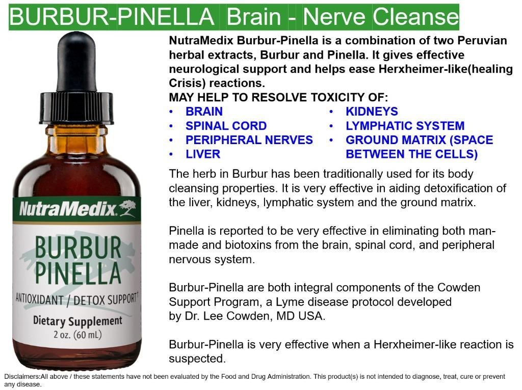 NutraMedix BURBUR-PINELLA Brain - Nerve Cleanse, Health & Nutrition ...