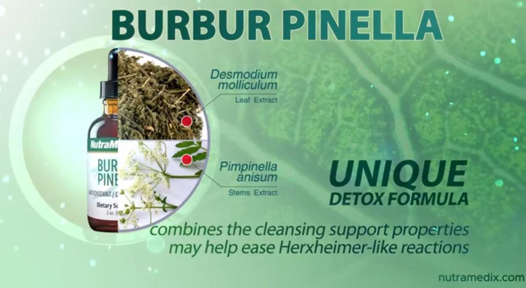 NutraMedix BURBUR-PINELLA Brain - Nerve Cleanse, Health & Nutrition ...