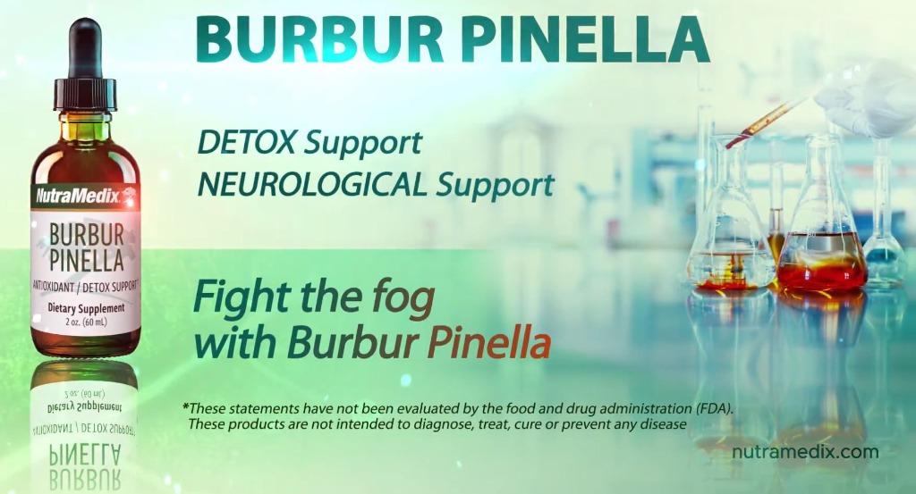 NutraMedix BURBUR-PINELLA Brain - Nerve Cleanse, Health & Nutrition ...