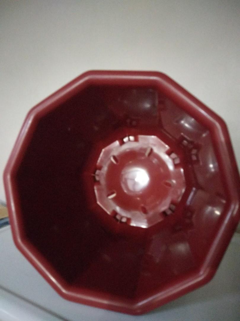Decagon plastic jumbo flower pot, Furniture & Home Living, Gardening ...