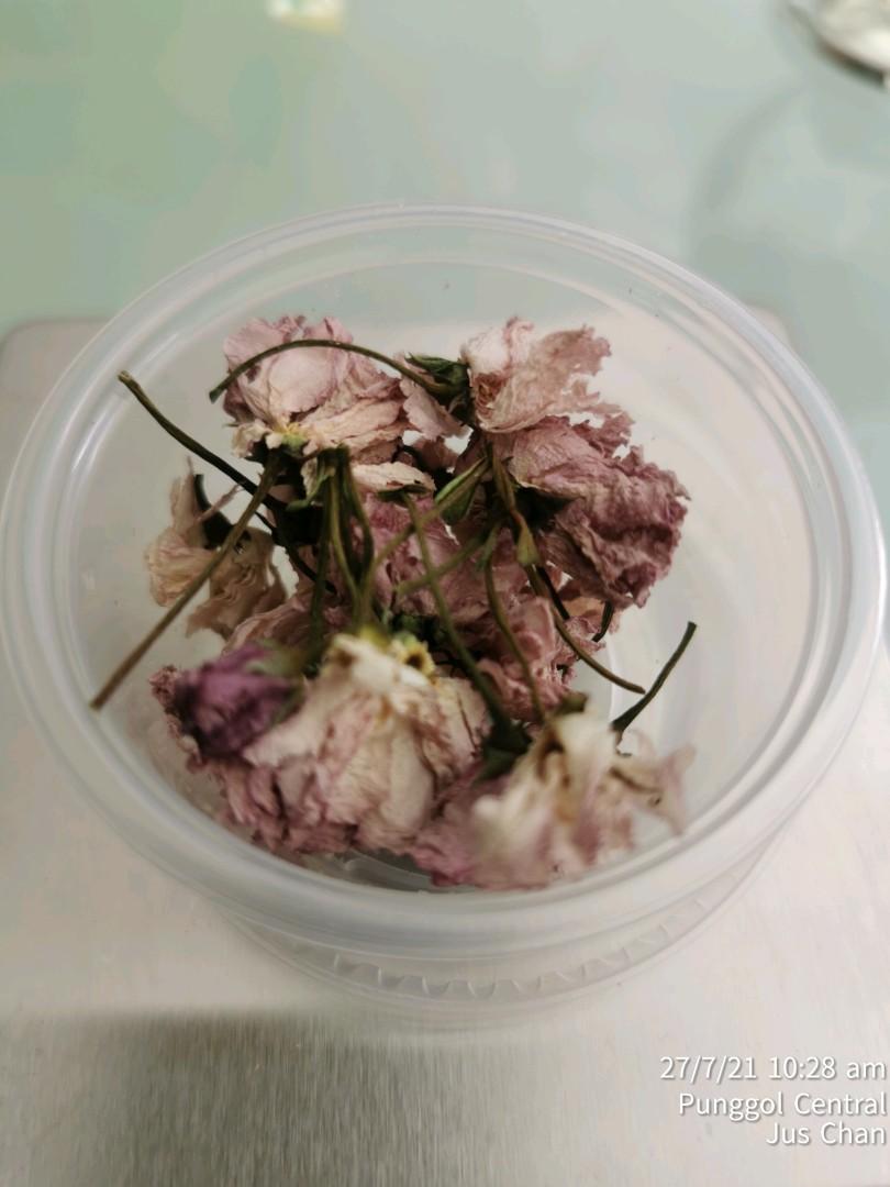 Dry Double sakura cherry blossom やえざくら 八重樱花干, Hobbies & Toys ...