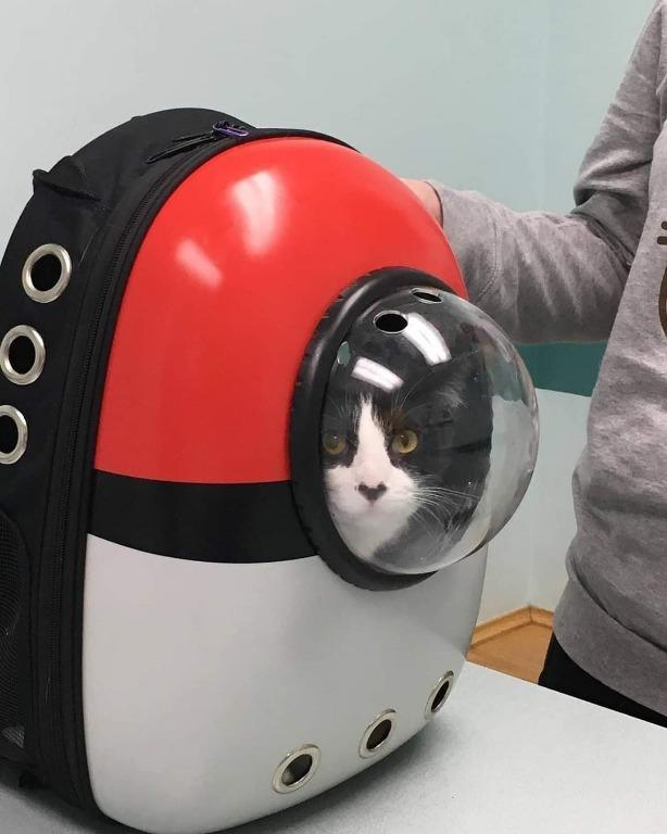 POKEBALL Breathable Pet Carrier Backpack, Pet Supplies, Homes & Other ...