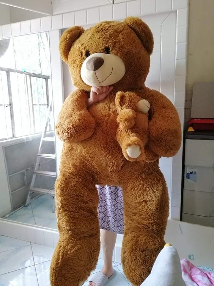 Life-size Teddy Bear, Hobbies & Toys, Toys & Games on Carousell