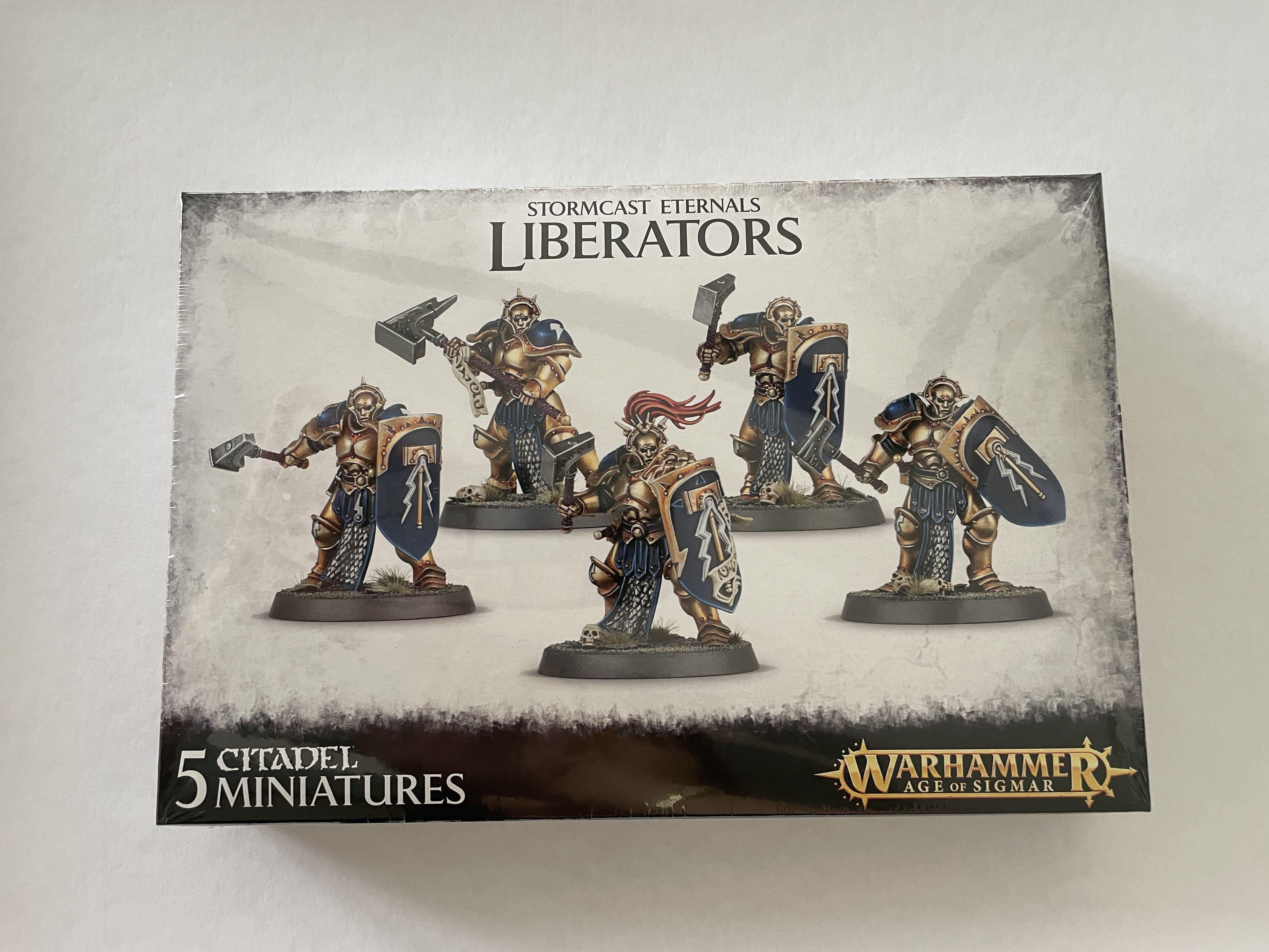 Warhammer 40K Stormcast Eternals Liberators, Hobbies & Toys, Toys ...