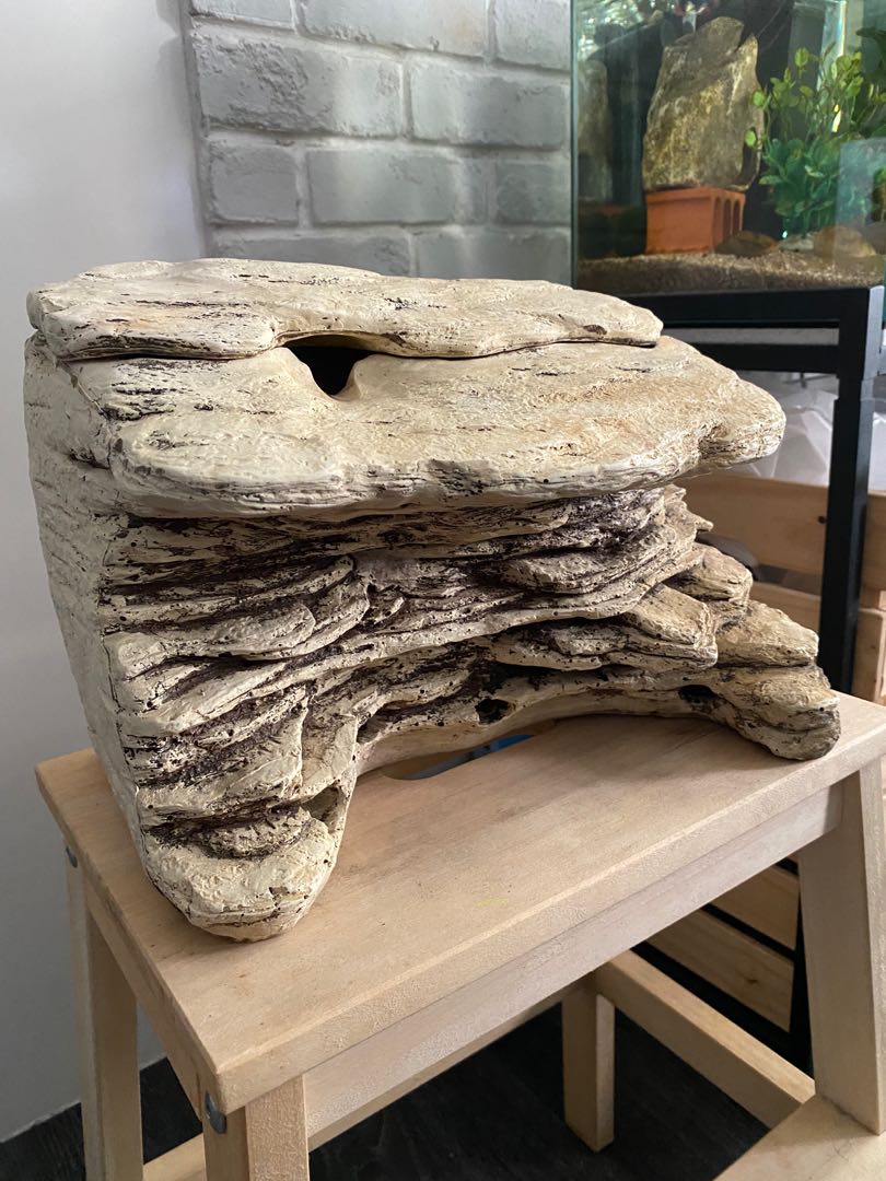 Exo Terra Turtle cliff with filter (Large), Pet Supplies, Homes & Other Pet Accessories on Carousell