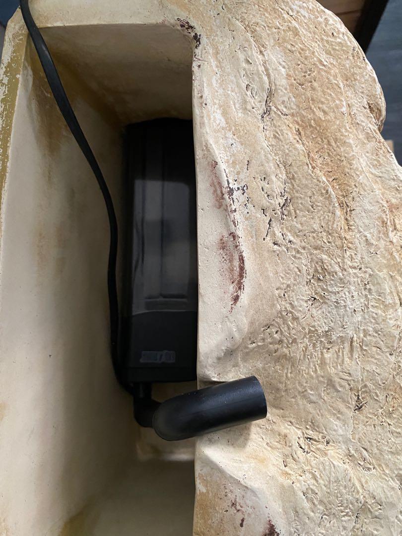 Exo Terra Turtle cliff with filter (Large), Pet Supplies, Homes & Other ...