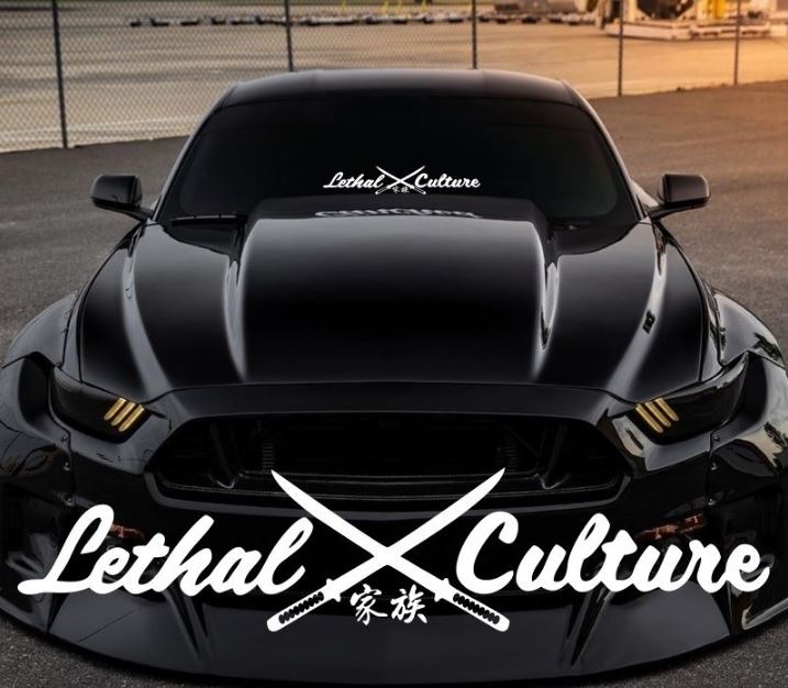 INSTOCK! Custom Car Sticker/Oracal 651 vinyl/Vinyl Decal/Chinese ...