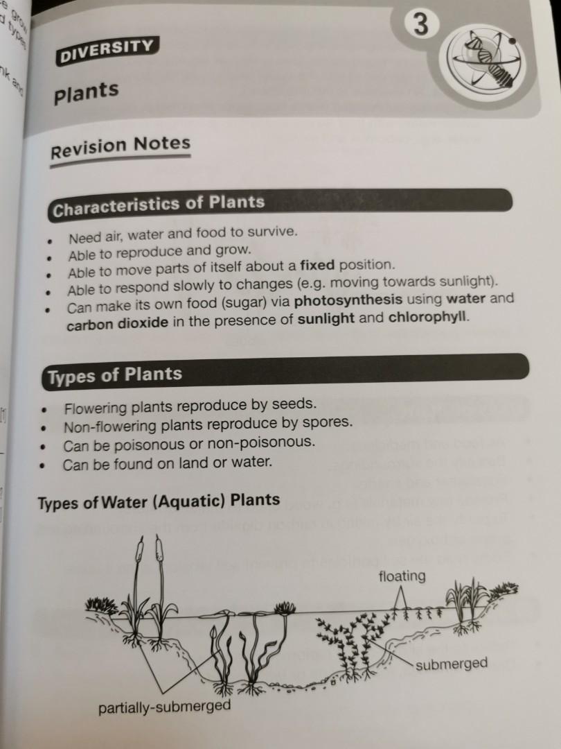 Primary Science notes and concept maps, Hobbies & Toys, Books ...