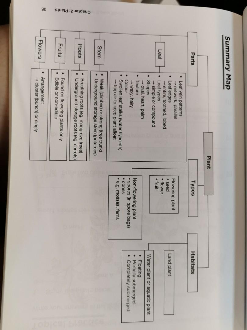 Primary Science notes and concept maps, Hobbies & Toys, Books ...