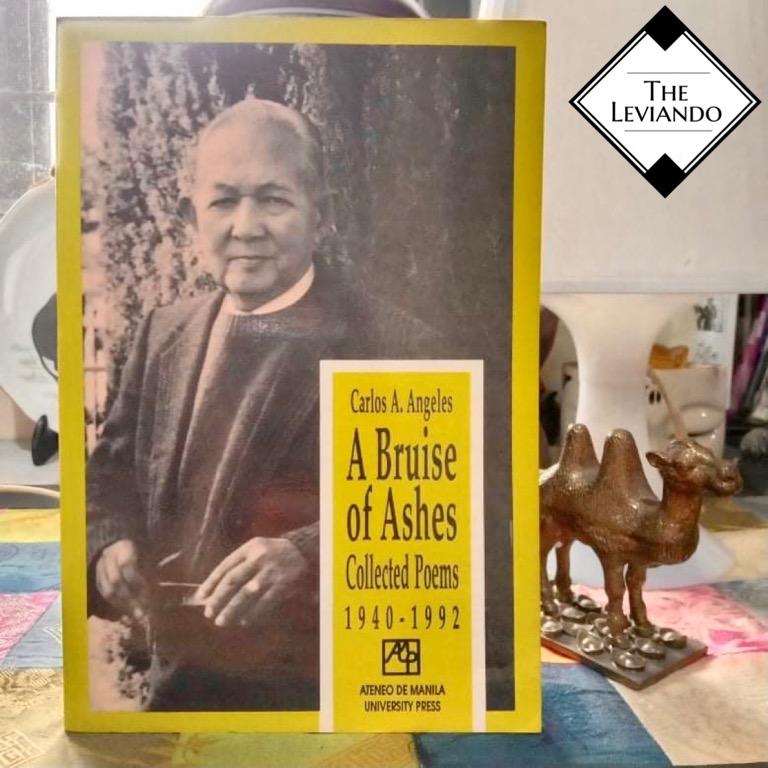 A Bruise Of Ashes by Carlos A. Angeles, Hobbies & Toys, Books ...