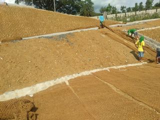 “Coco net” For Sale | Carousell Philippines