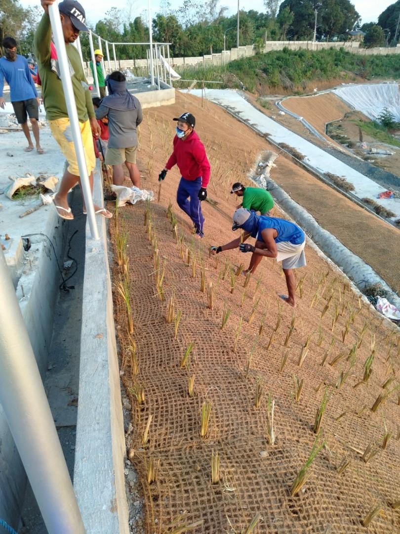 COCONET | VETIVER GRASS | COCO LOGS | BAMBOO PEGS | PROJECT INSTALL ...