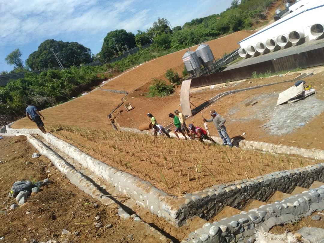 COCONET | VETIVER GRASS | COCO LOGS | BAMBOO PEGS | PROJECT INSTALL ...