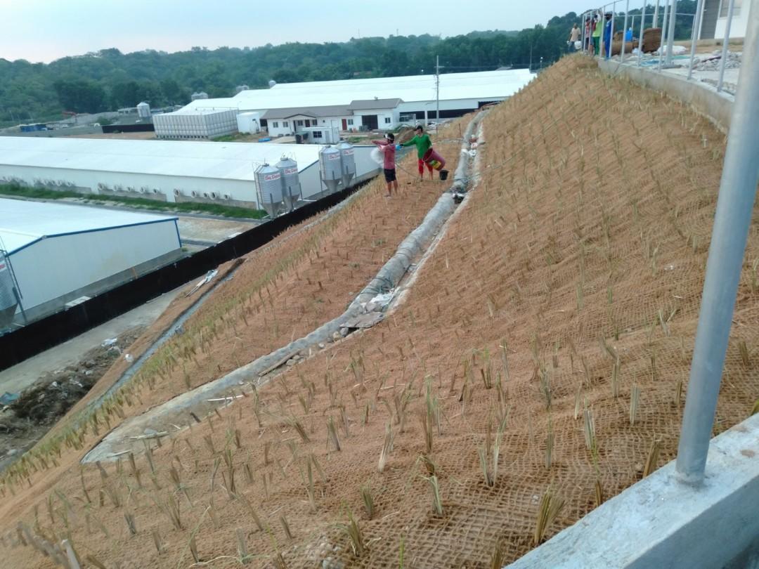 COCONET | VETIVER GRASS | COCO LOGS | BAMBOO PEGS | PROJECT INSTALL ...