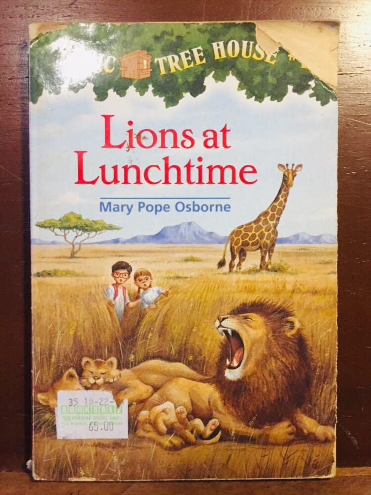 Magic Tree House - 13 books, Hobbies & Toys, Books & Magazines ...